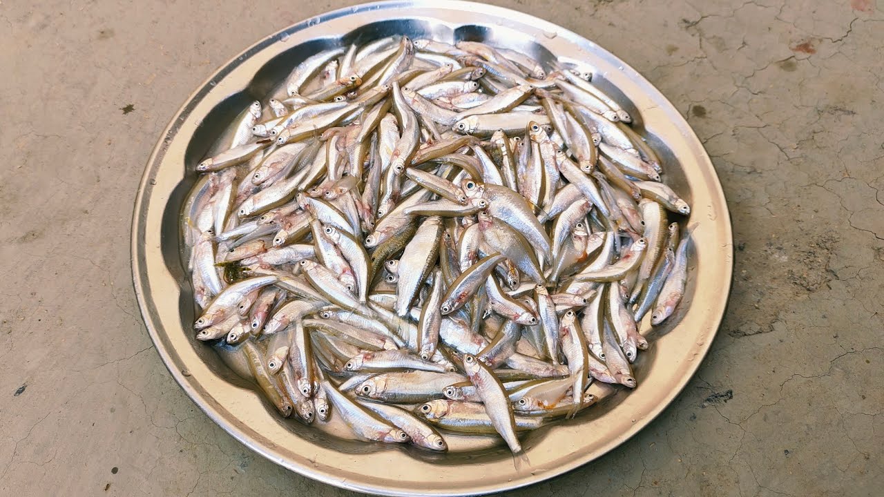 छोटी मछली को अच्छी तरह से कैसे साफ करके मछली अच्छी तरह से बनाते हैं ...