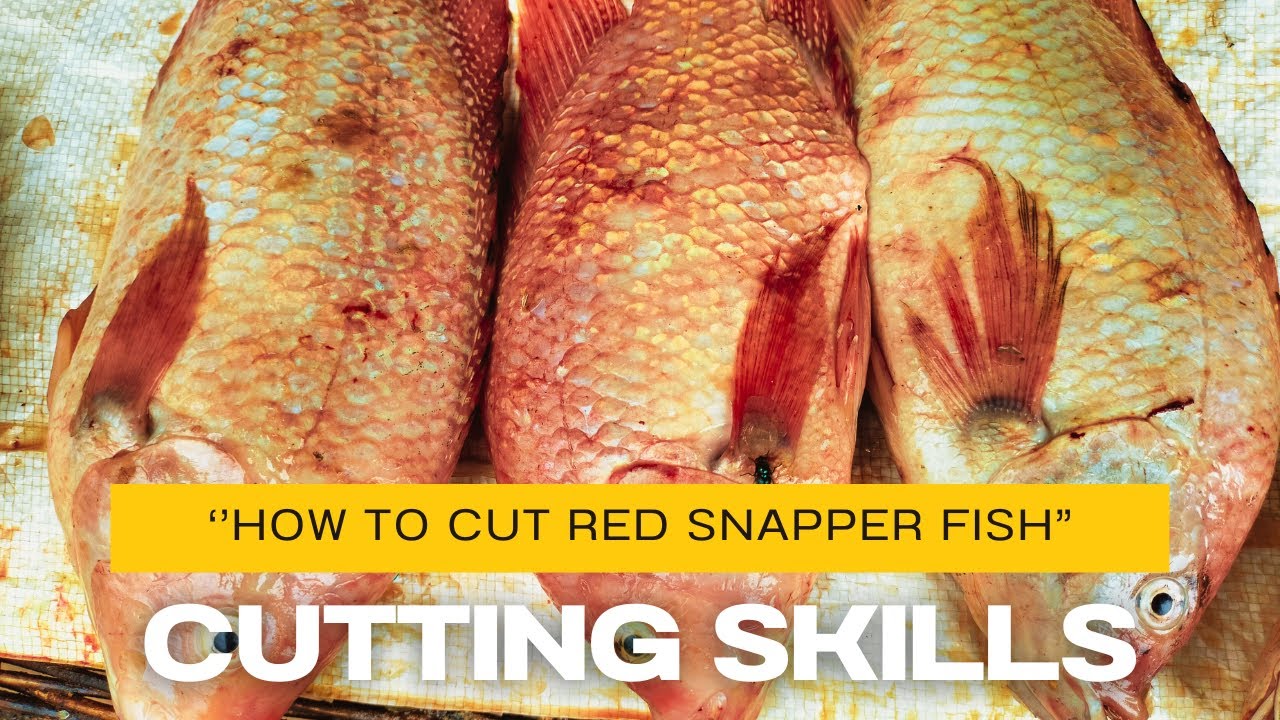 How to cut the red snapper fish at Fish Market I Siem Reap, Cambodia I ...