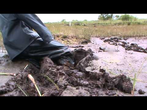 mudding in a bog part 1 - YouTube