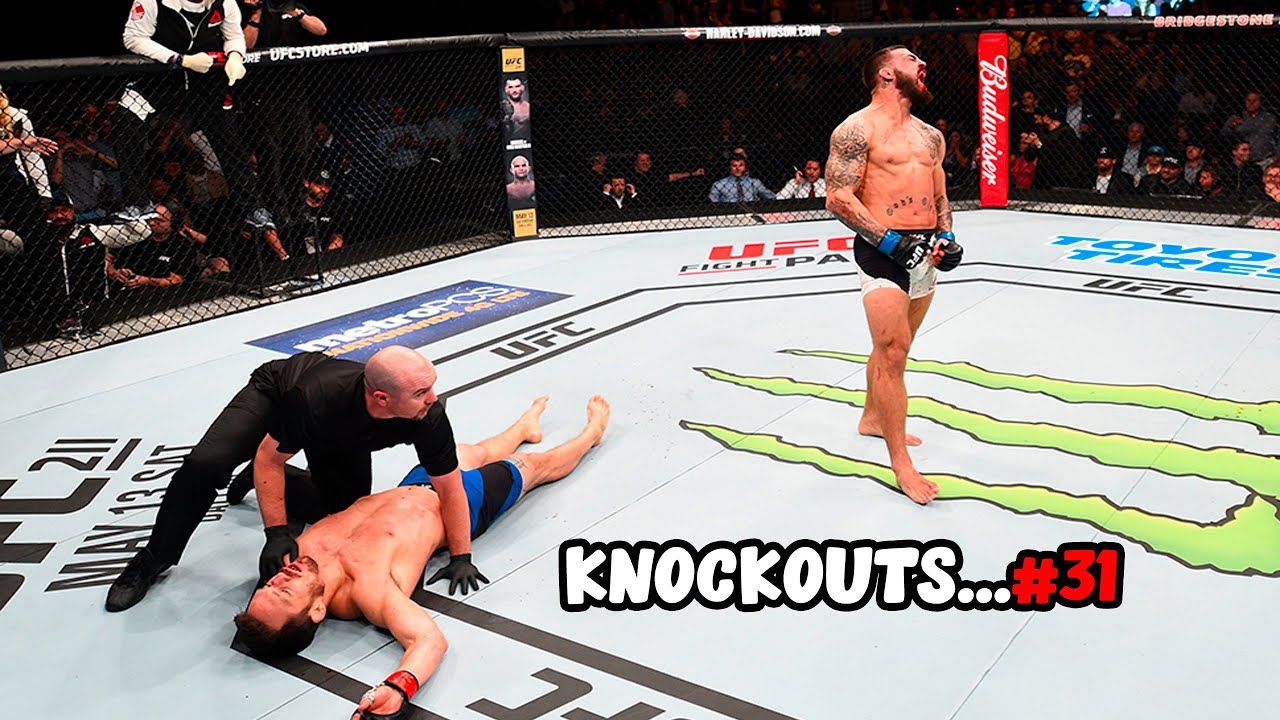 TOP #31 Knockouts: The Best MMA, Kickboxing, and Boxing Fights - YouTube
