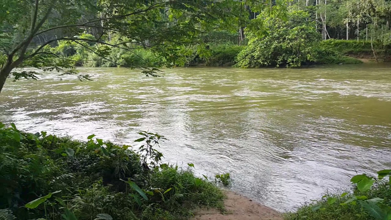 Gunung Reng Jajahan Jeli, Kelantan. - YouTube