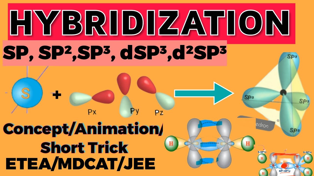 HYBRIDIZATION ANIMATION || concept and characteristics|| SP3 SP2 SP ...