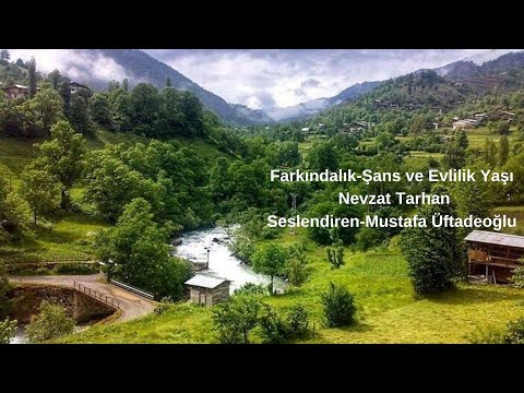 Farkındalık-Şans ve Evlilik Yaşı, Nevzat Tarhan