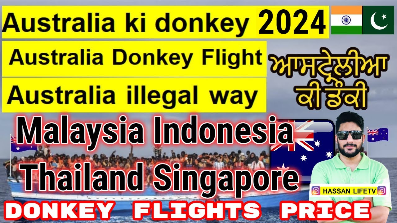 Australia Donkey Flight ️kya ab ja Sakte hen Australia 🇦🇺 illegal ...