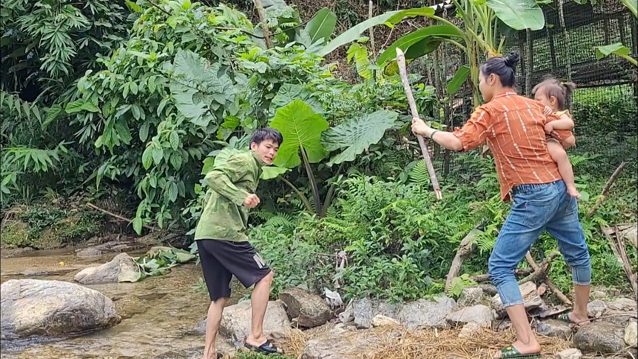A single mother harvests bamboo shoots to sell at the market and her ...