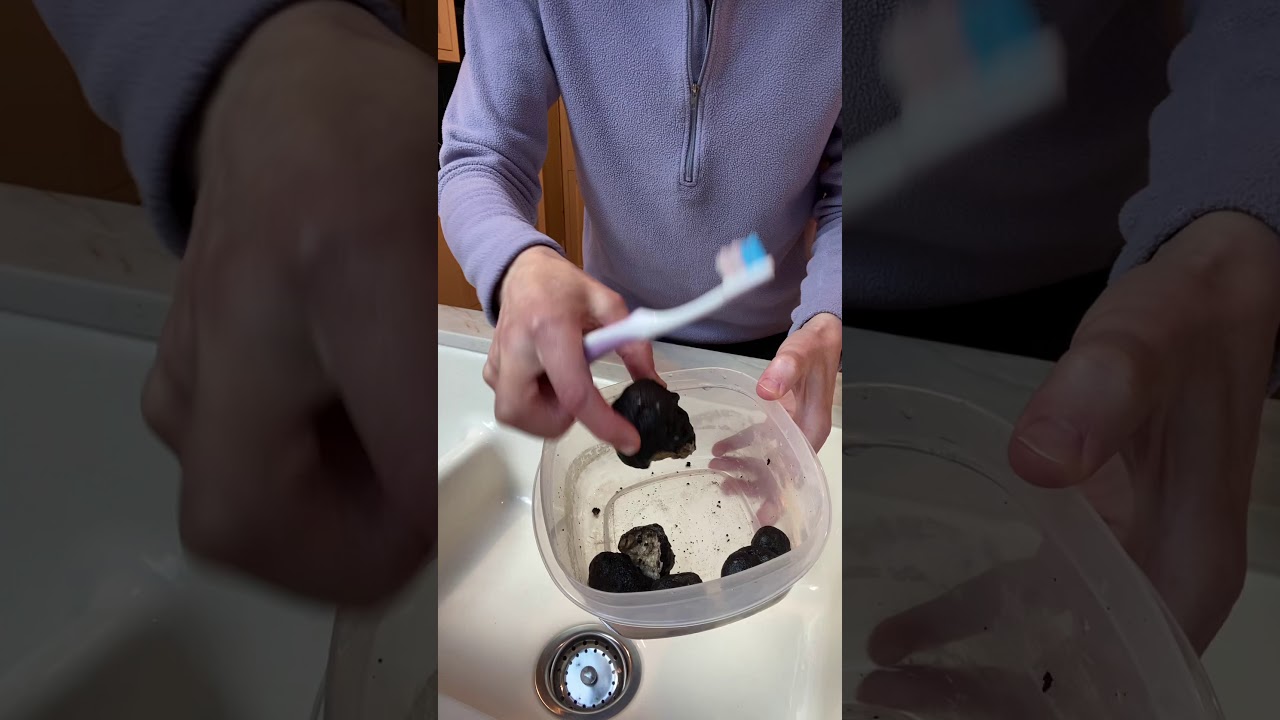 How to clean a truffle - YouTube