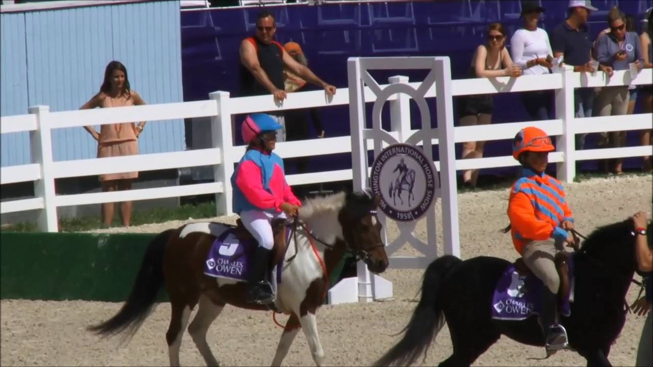 Frosted Flakes wins! WIHS Shetland Pony Races at Devon - YouTube