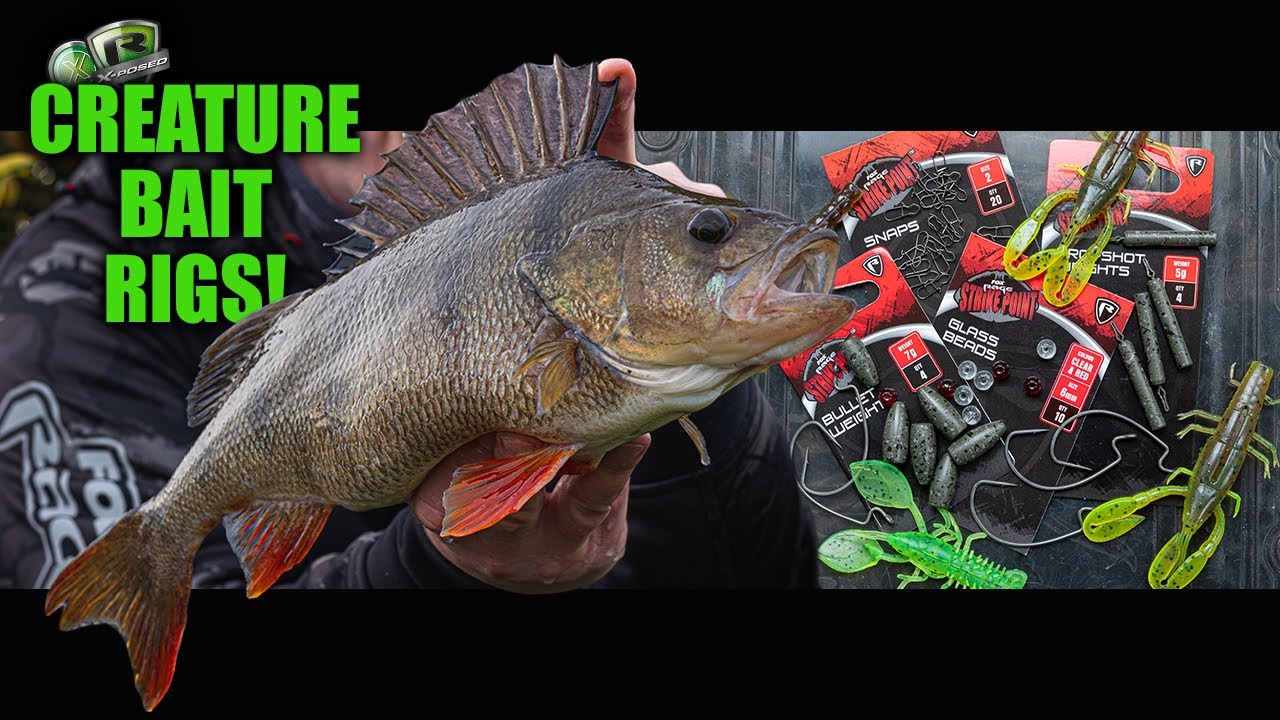 CREATURE BAIT RIGS MADE EASY | Big Perch Fishing | Perch Lures - YouTube