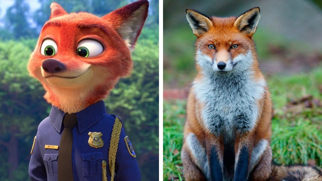 Zootopia Characters in Real Life [Bibi] - YouTube