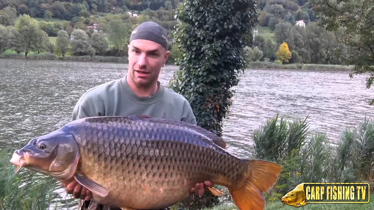 CARPA RECORD a ENDINE - YouTube