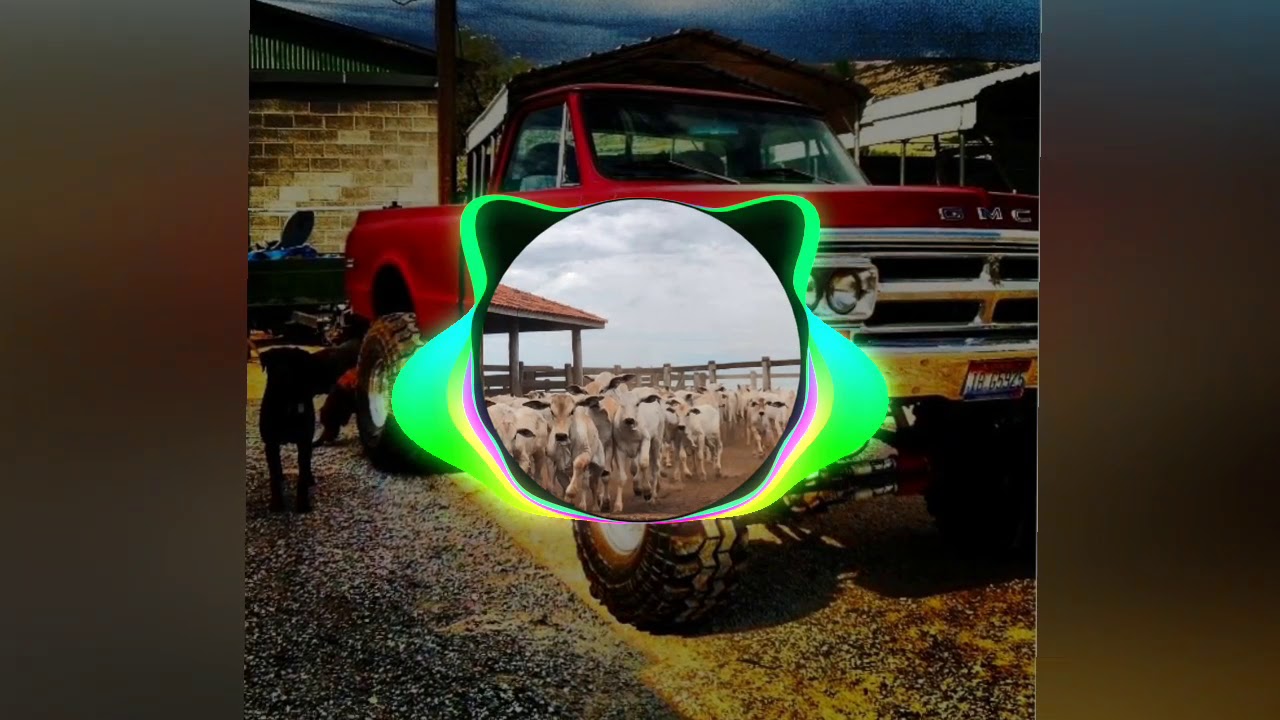 Bruno & Barretto 2019 - buteco raiz ☘🌾💥 - YouTube