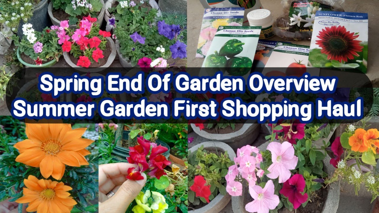 Summer Garden First Shopping Haul|Spring Season End Of Garden Overview ...