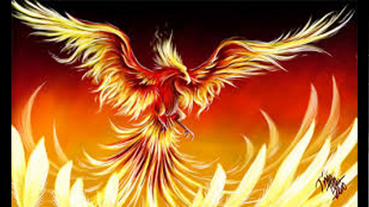 REVIVE(fire bird) - YouTube