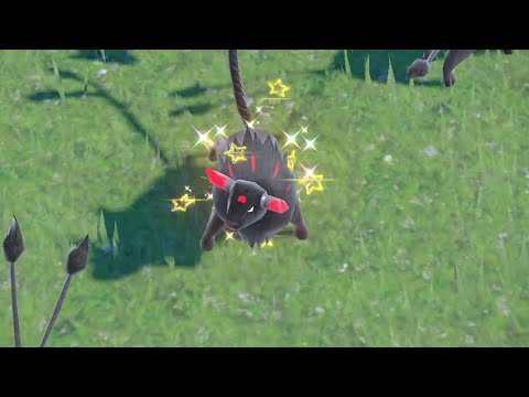 Shiny Paldean Tauros fire type 🔥🐃 - YouTube