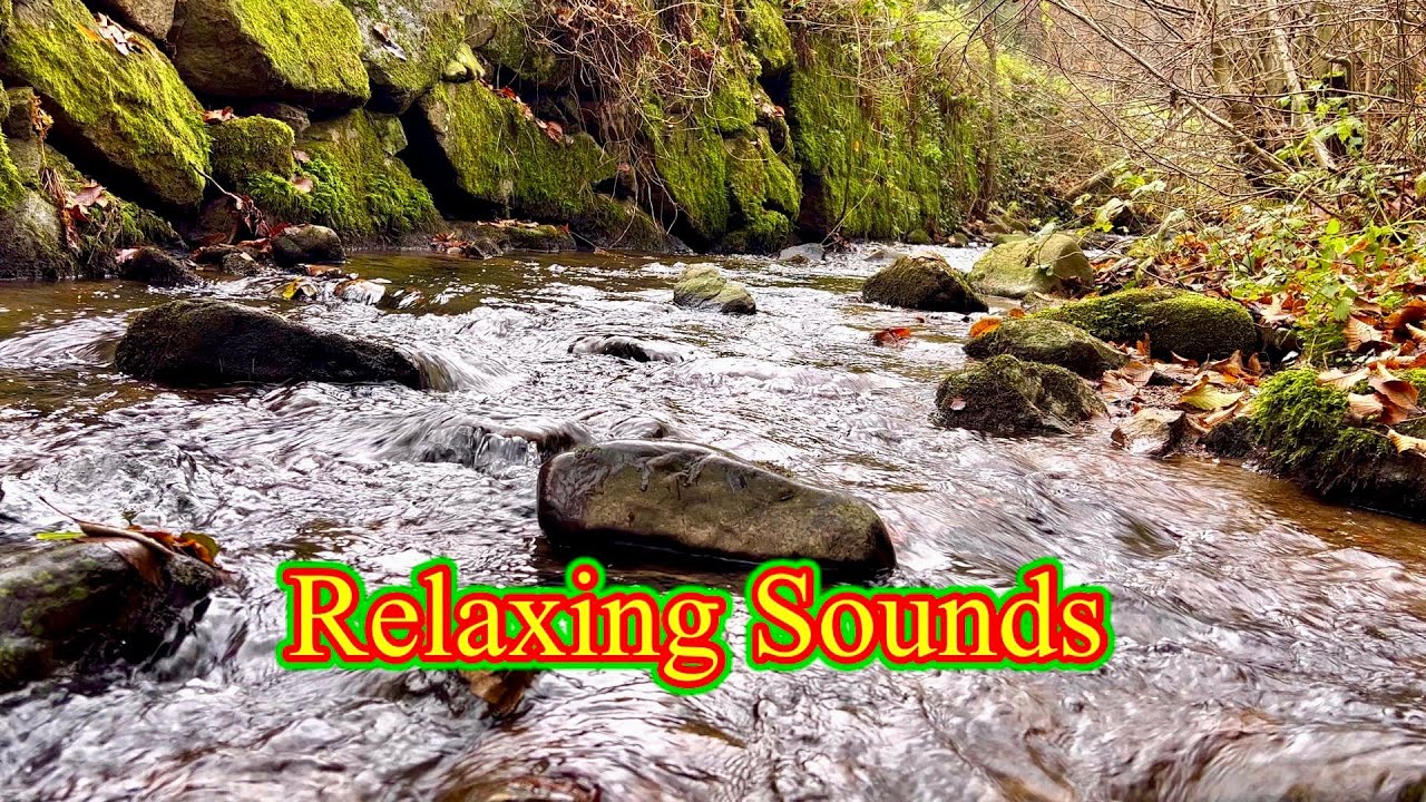 Mountain River Sounds, Relaxing sounds for Stress Relief - YouTube