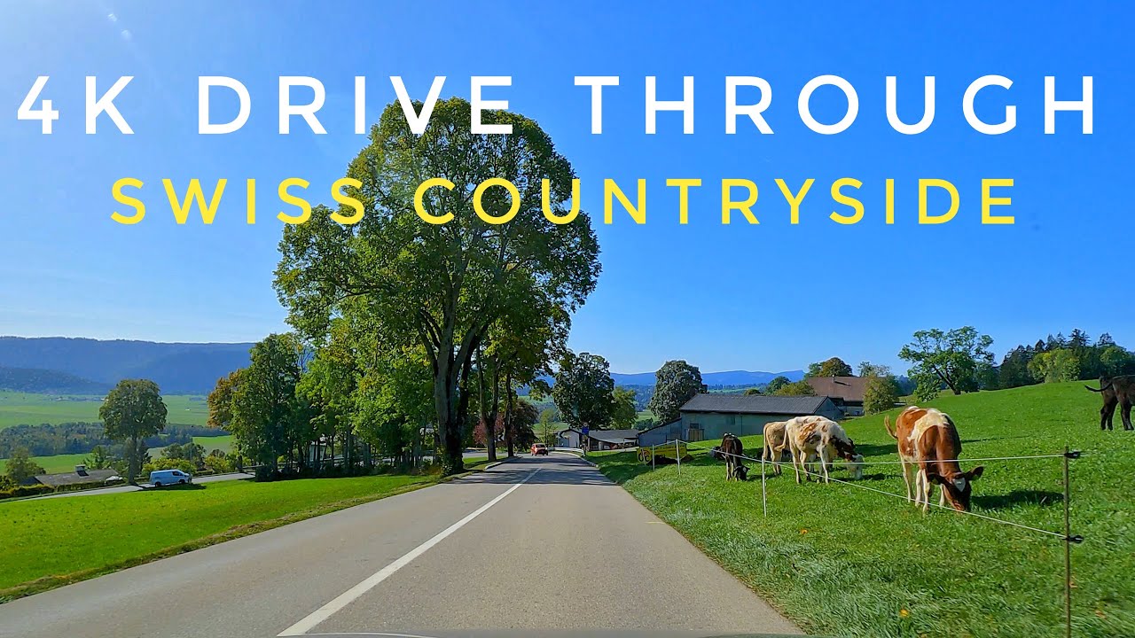 Sunny Day Swiss Countryside Drive: Grazing Cows in 4K | Driving POV ...