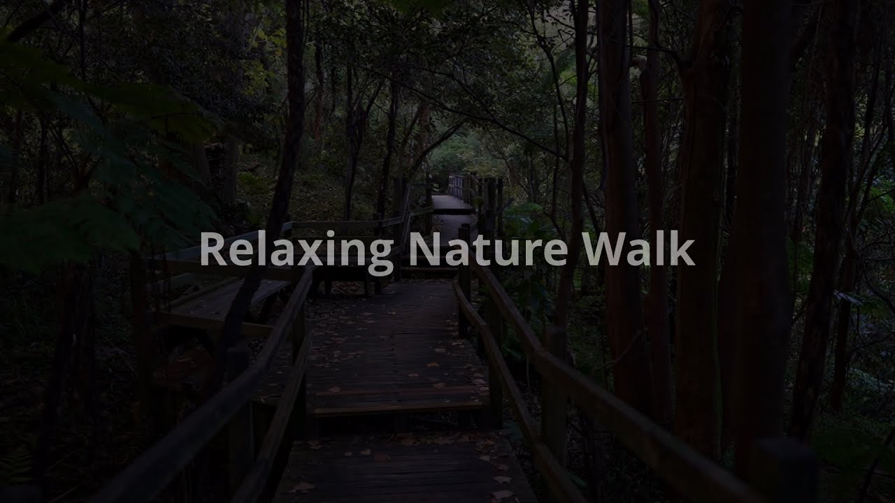 Relaxing nature walk - meditation - YouTube