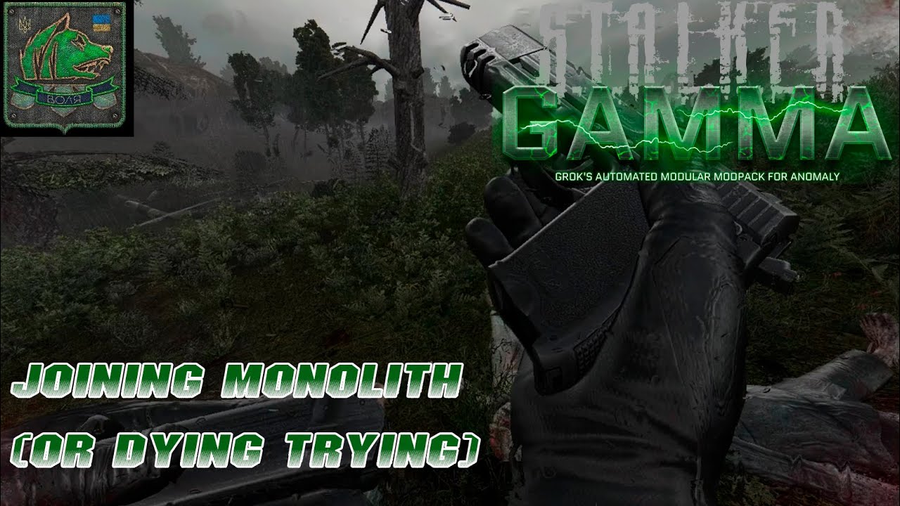 Freedomer Gets "Good" Idea | S.T.A.L.K.E.R. GAMMA Hardcore - YouTube