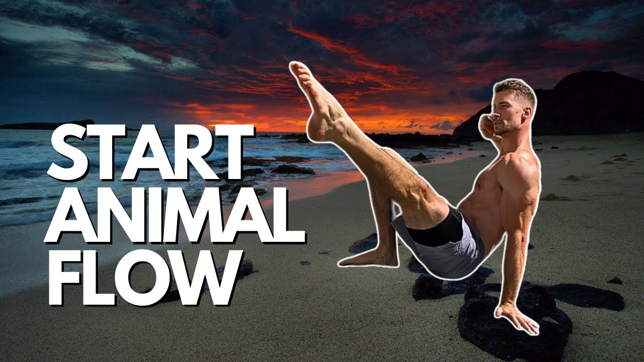 Animal Flow Workout for Strength, Mobility and Endurance - YouTube