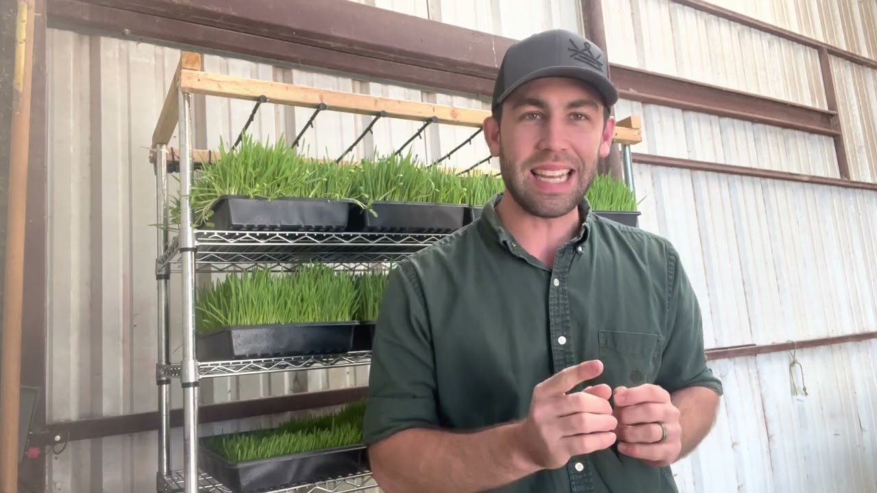 Homemade Fodder Systems