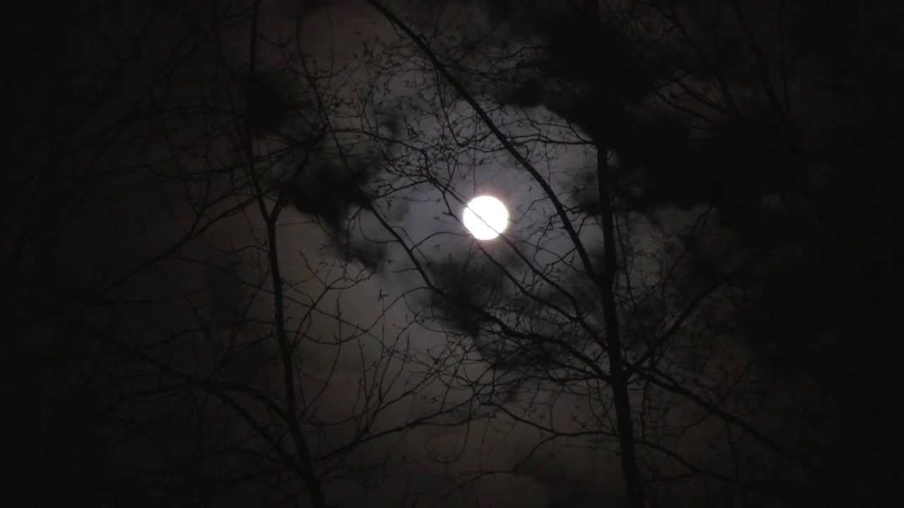 Super Moon and Trees Royalty Free HD Footage - YouTube