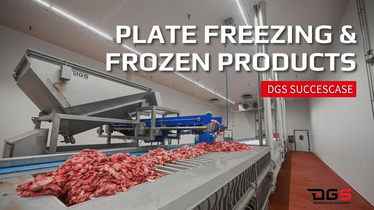 Automating Plate Freezing & Frozen Product Handling | DGS Succescase ...