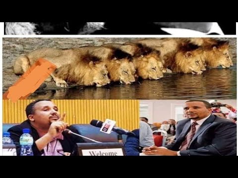 New Oromo music 2020 Jawwee koo hidhaaf hin Taane official video by ...