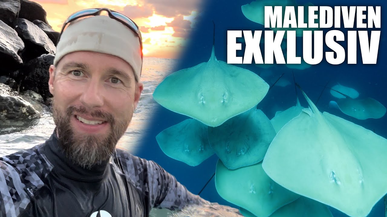 EXKLUSIV: Tauchen auf den Malediven | Robert Marc Lehmann - YouTube