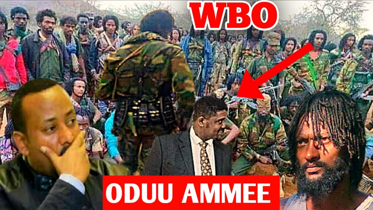 ODUU AMMEE Ergaa Jeneral Marroo Fi Ibsa ejjannoo WBO Haaraa Amma nu ...