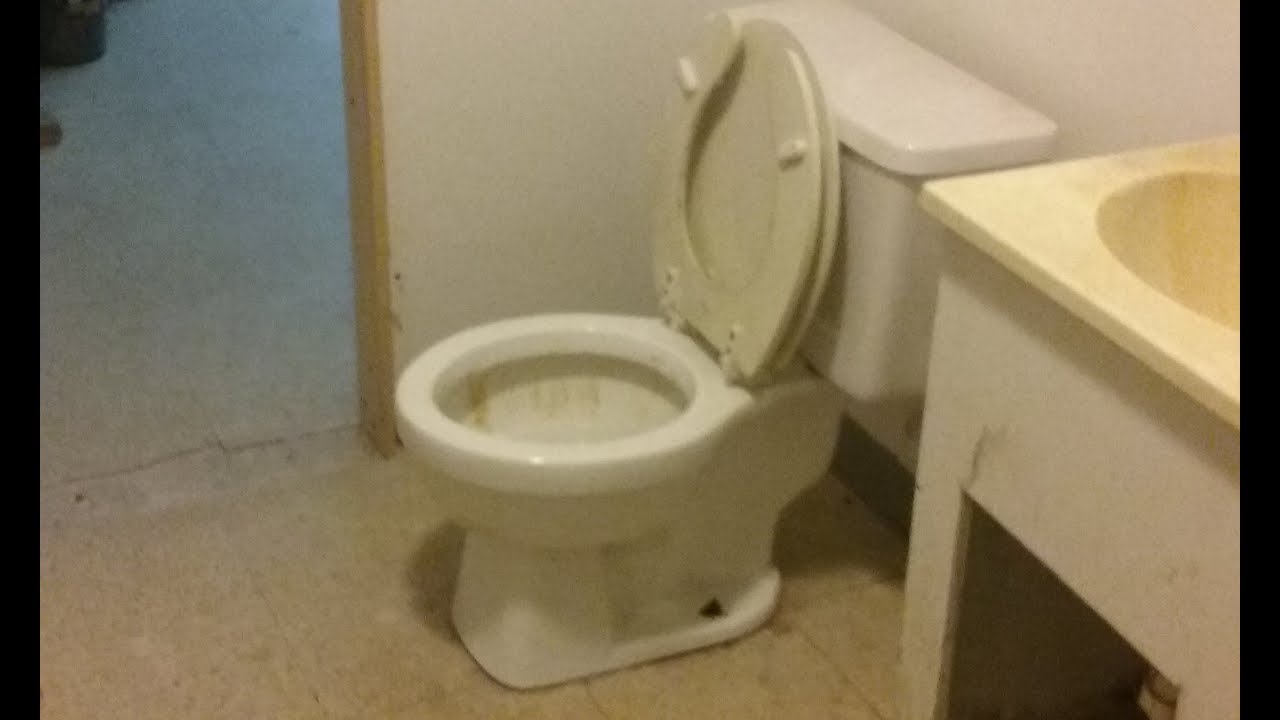 161. Peerless Toilets and Gerber Urinal - YouTube