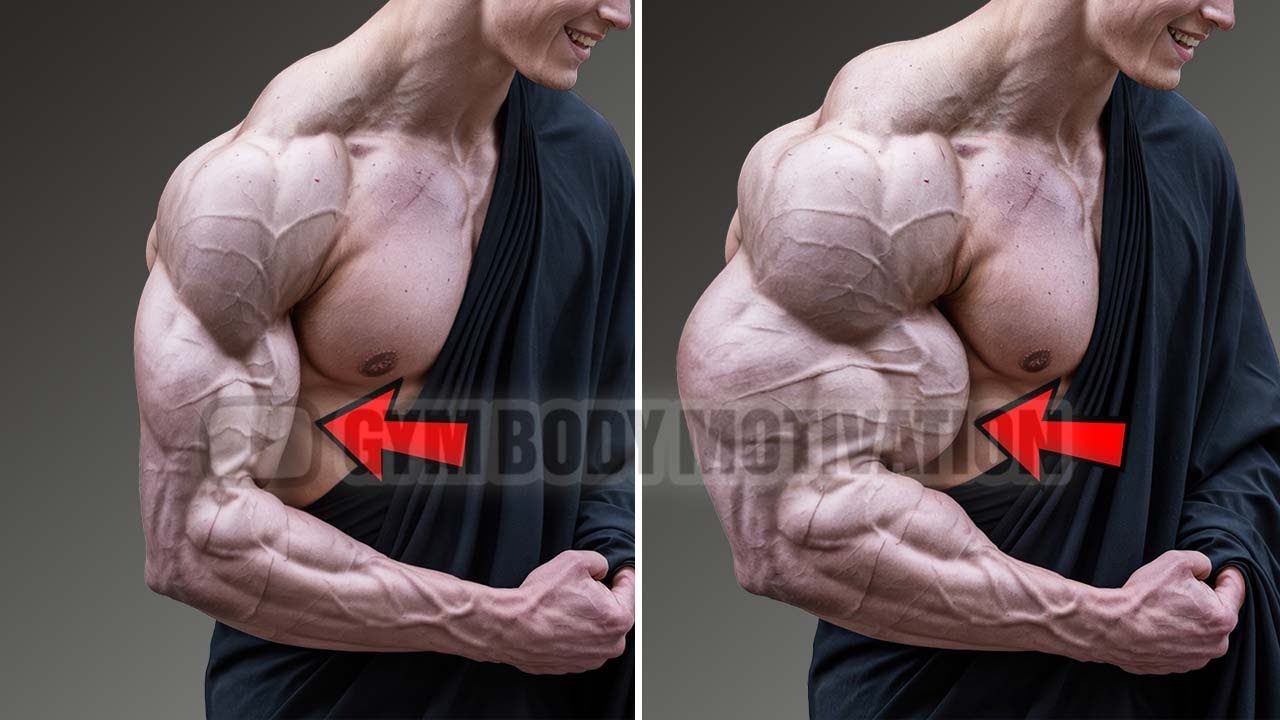 6 Best Biceps and Triceps Exercises For Huge Arms - YouTube