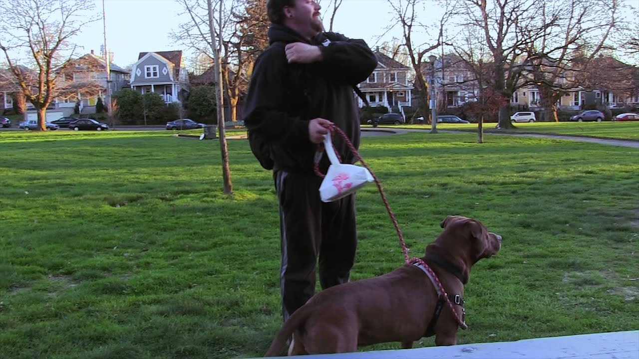 Dub Sack The Pitbull Colonel Summers Park Portland OR 2015 - YouTube