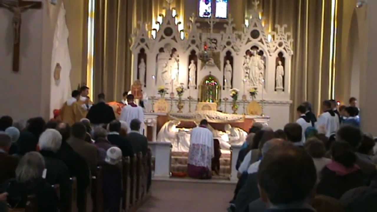 1. Pontifical High Mass by His Eminence Raymond Cardinal Burke in Knock ...