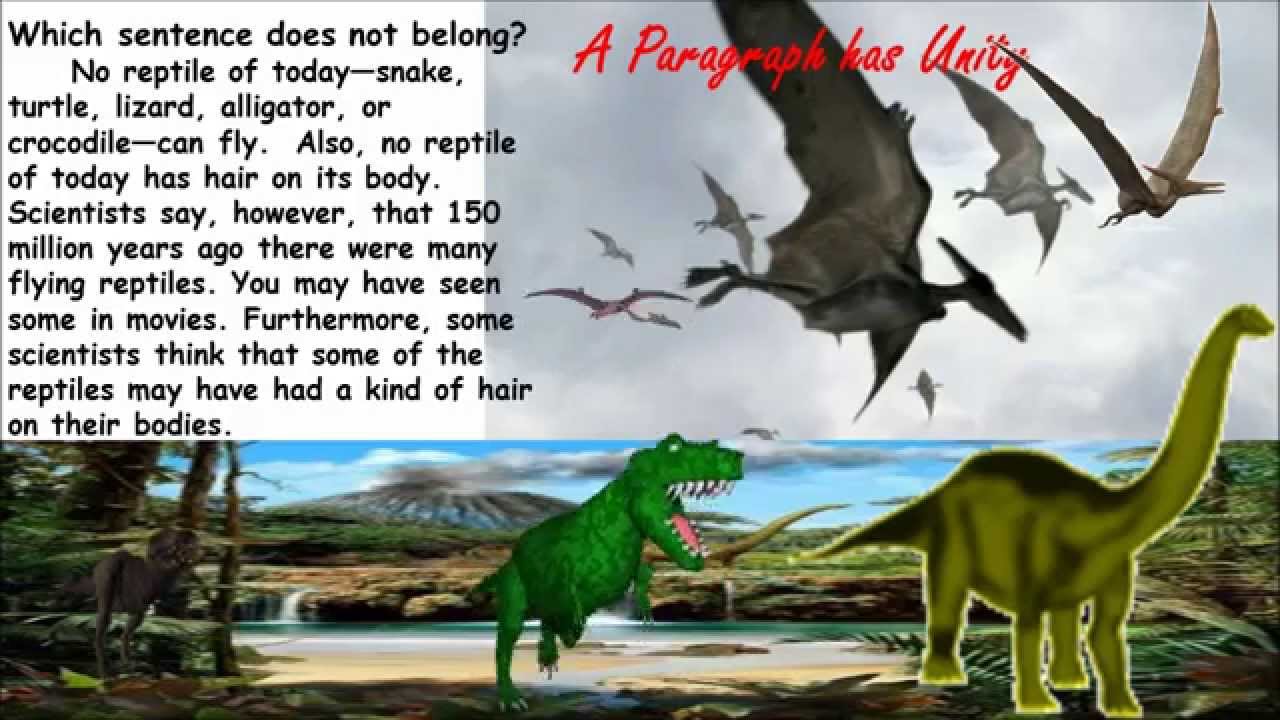 A Paragraph Has Unity YouTube a-paragraph-has-unity-youtube