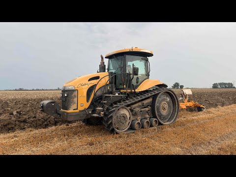 PURE SOUND! Caterpillar Challenger 755A in Aratura 🚜 