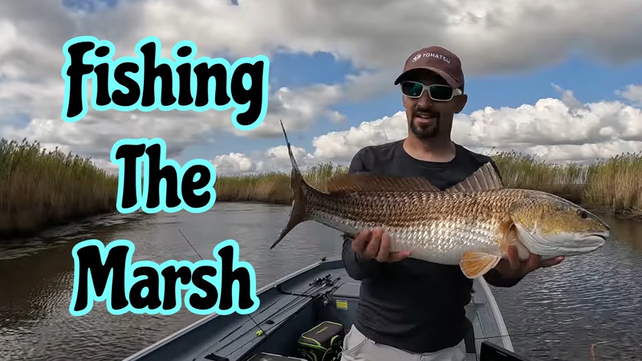 Saltwater MARSH FISHING - YouTube