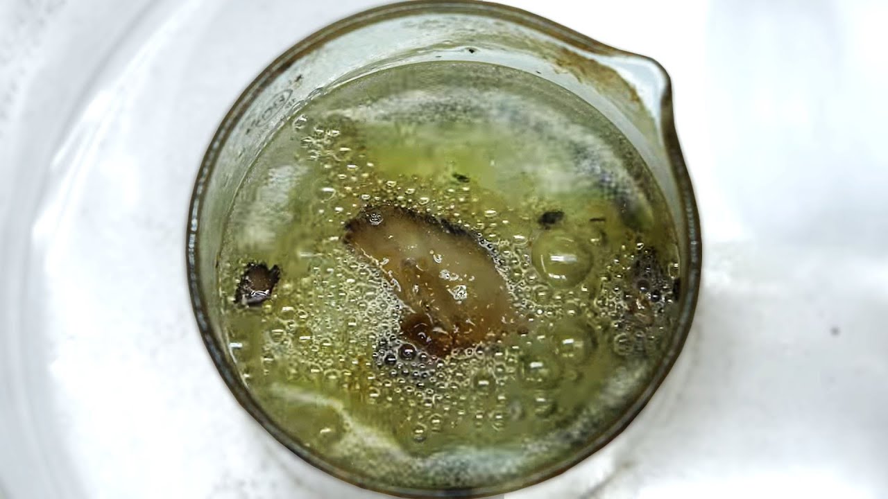 Dissolving pork in hot piranha solution - YouTube