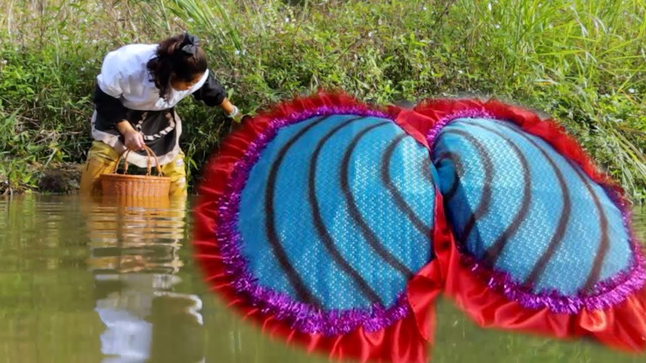 Wild river clams, the belly of giant mother clams is filled with black ...