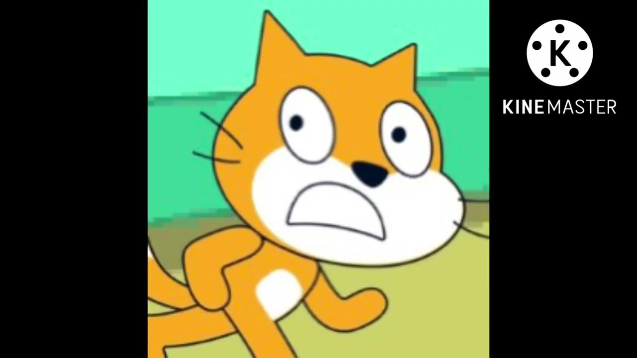 Scratch Cat Becoming Confused - YouTube