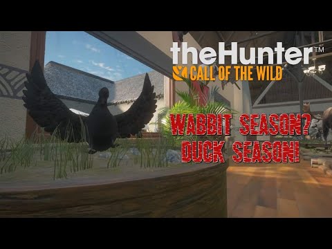 WABBIT SEASON? DUCK SEASON! Quest for Diamond: Ep. 2 - YouTube