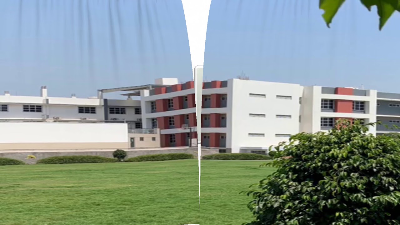 Countryside International School: Grade 4 : English: Grammar Ch.1 ...