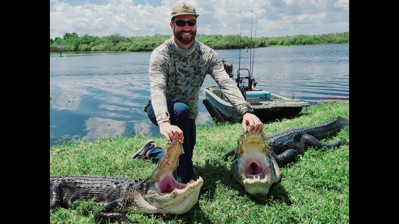 Florida gator hunting, 20' of gators to start off the season! - YouTube