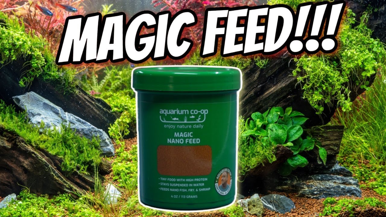 Is it Magic? Let’s Check Out the Aquarium Coop Magic Nano Feed! - YouTube