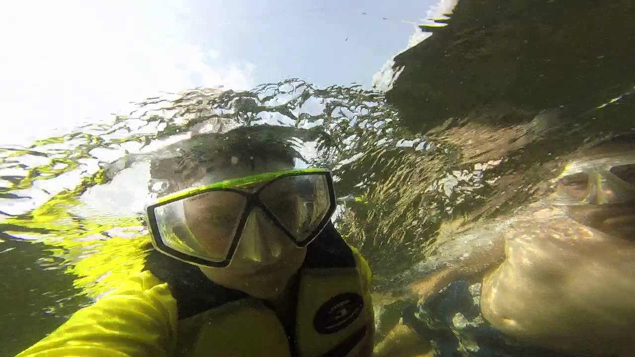 Quick demo of GoPro Hero underwater - YouTube