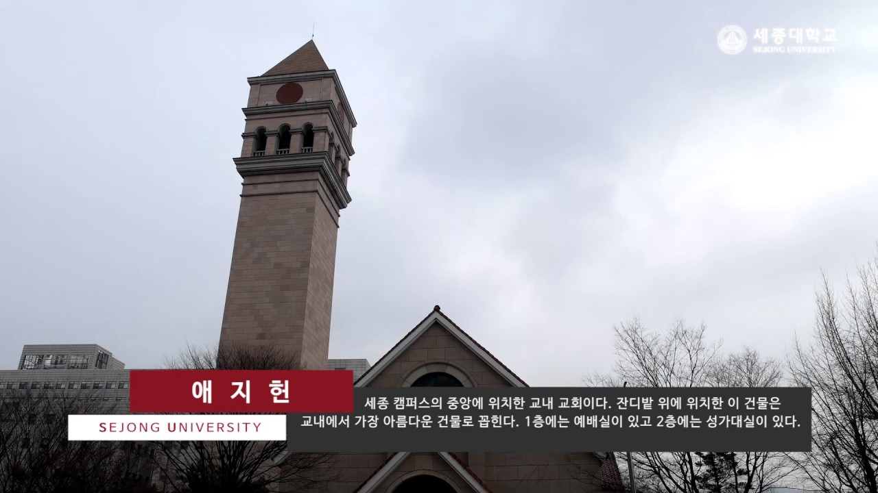 Sejong University