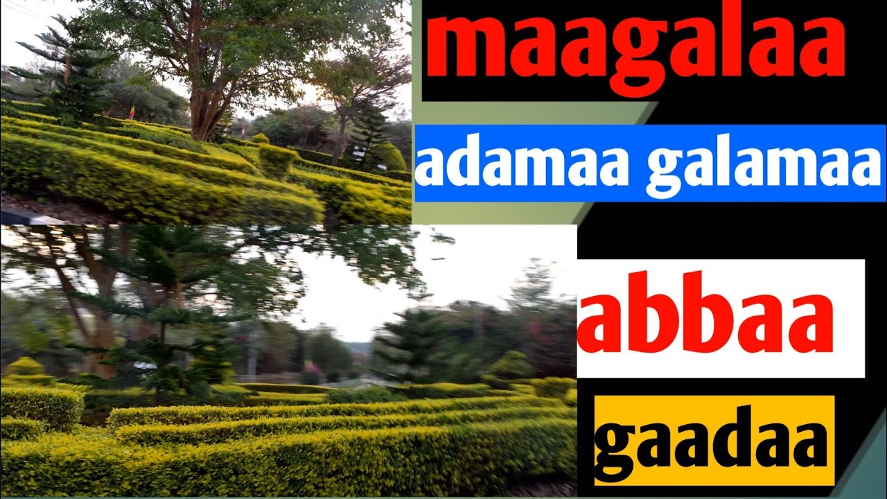 maagalaa adamaa galamaa abbaa gaadaa dawadhaa #Ayantuu Asallaa# ...