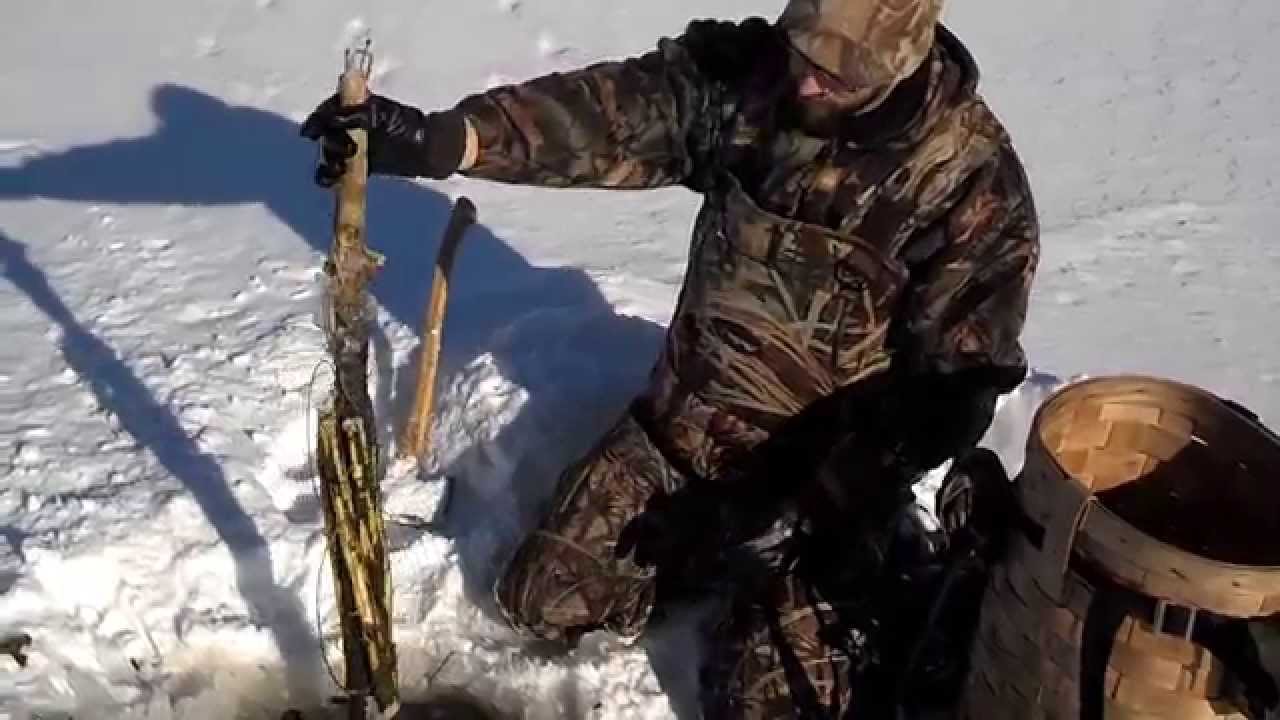 Baited snare pole set for Beaver. - YouTube