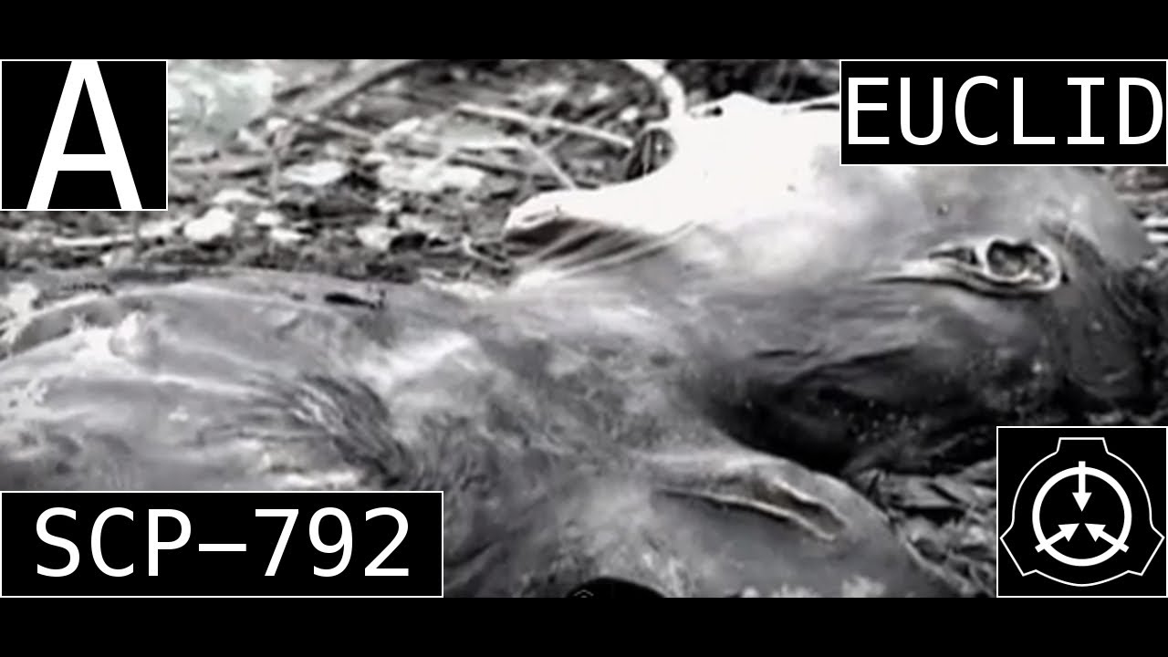 SCP-792 "The Body Farm" [SCP Wikidot] - YouTube