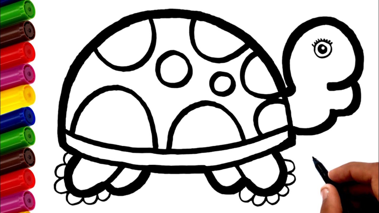 Tortoise Drawing and Color for Kids and Toddlers - How to Draw a ...