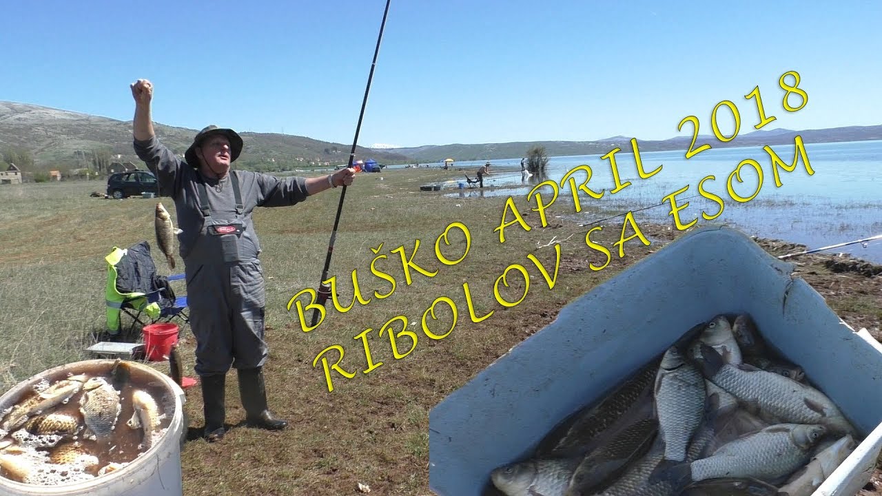 Ribolov babuške Buško jezero pecanje na feeder babuška riba na glistu ...